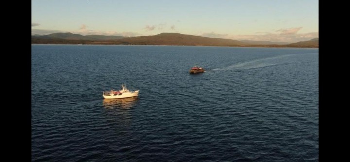 Yate de lujo Steel Magnolia se incorpora a la flota de Solo Expediciones | ELPINGUINO.COM