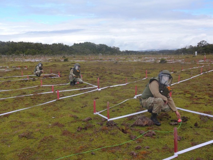 Armada cumple certificación de campo minado en isla Picton | ELPINGUINO.COM