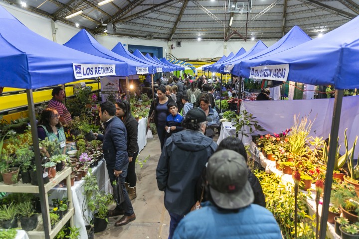 (Galería) Cerca de 30 mil personas asistieron a la Expo Magallanes 2019 ...