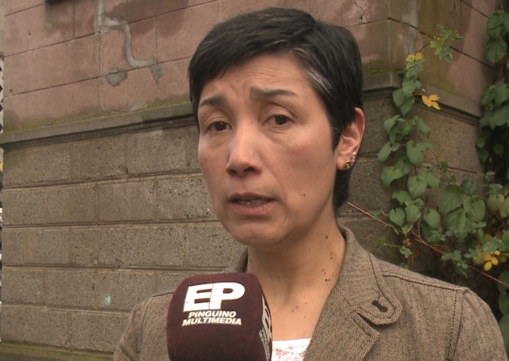 "Esperamos tener un acuerdo común", señaló dirigenta nacional del PPD ...