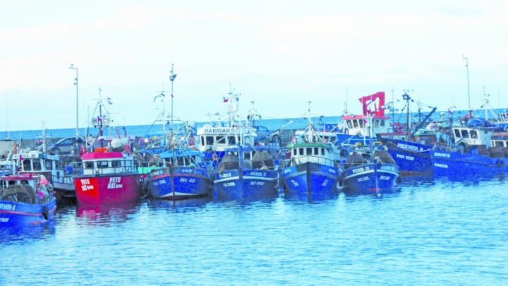 Partió el período de veda para merluza del sur y bacalao de profundidad ...