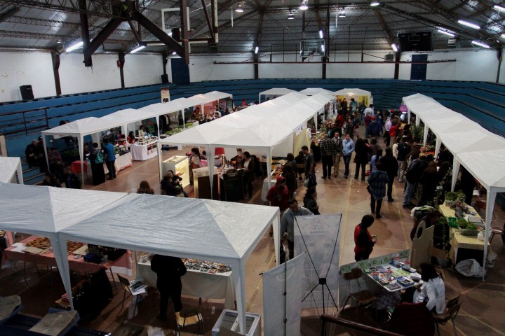 Casi 10 mil visitas en primeros tres días de la Expo Magallanes ...