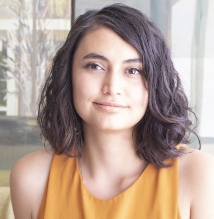 Artista visual, Fernanda Luz Avendaño: “Trabajo mucho con colores que ...