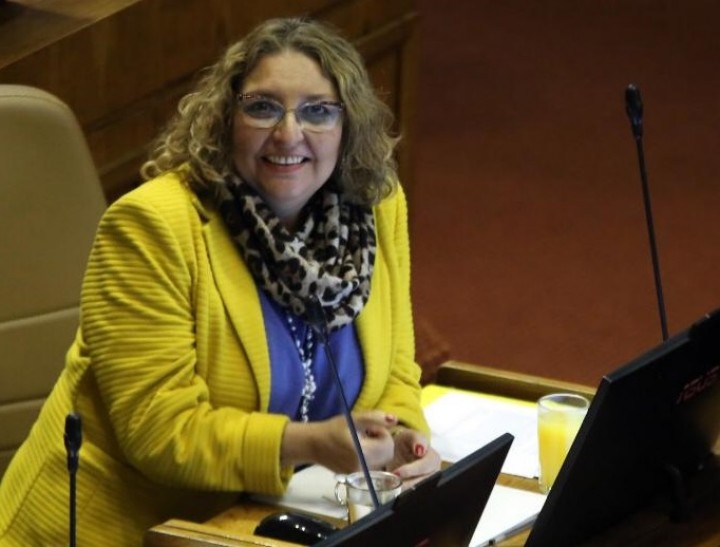 Diputada Sandra Amar gestiona que se incluya a Magallanes en ...