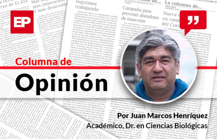 Idere: Desarrollo en Magallanes | ELPINGUINO.COM