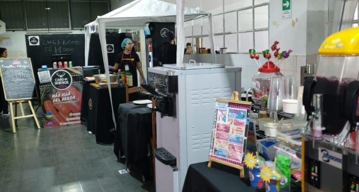 Expo Magallanes 2026 supera las 3 mil visitas y se consolida como ...