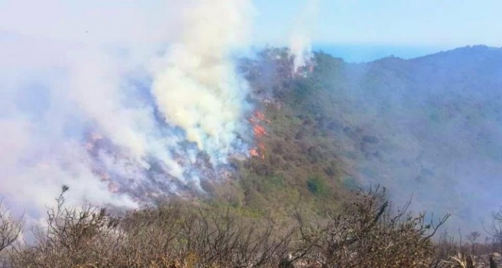 Onemi declara Alerta Roja para la comuna de Zapallar por incendio ... Onemi declara Alerta Roja para la comuna de Zapallar por incendio ...