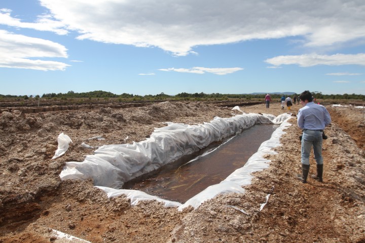 Advierten sobre uso de la turba como alternativa energética ...
