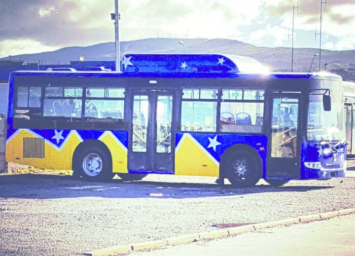 Esperan que a fines del primer semestre estén todos los buses del ...