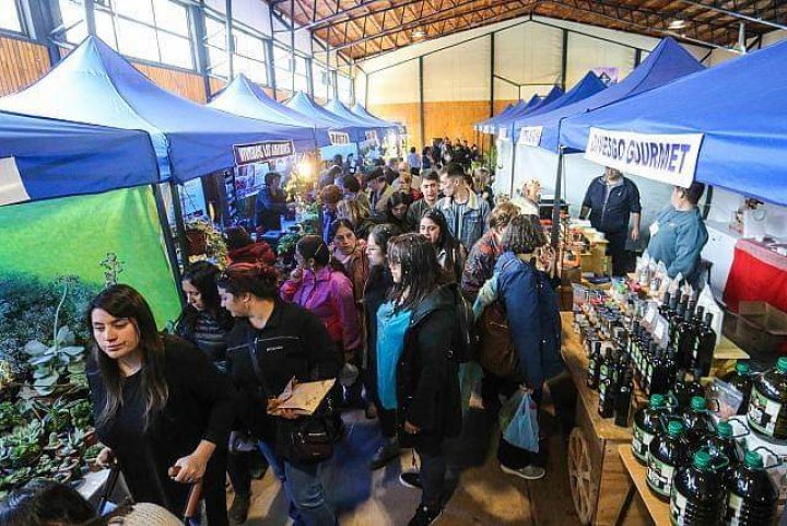 Expo Magallanes supera versiones anteriores: en sus primeros días ...